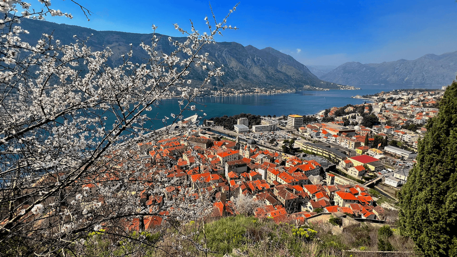 Montenegro in Spring | Montenegro Spring | Lustica Bay