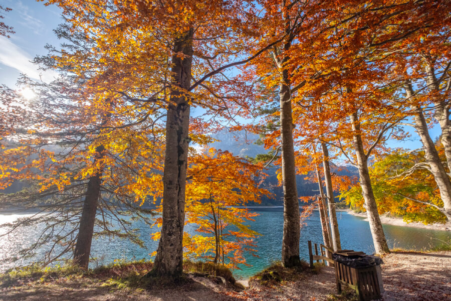 Things to Do in Montenegro This Autumn - Luštica Bay